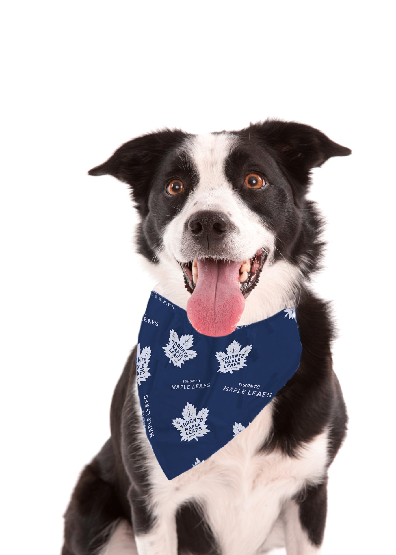 TOG Petwear Official Dog Store | NHL, CFL Dog Clothes & Accessories ...